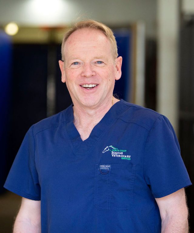 Team - Sunshine Coast Equine Veterinary Clinic
